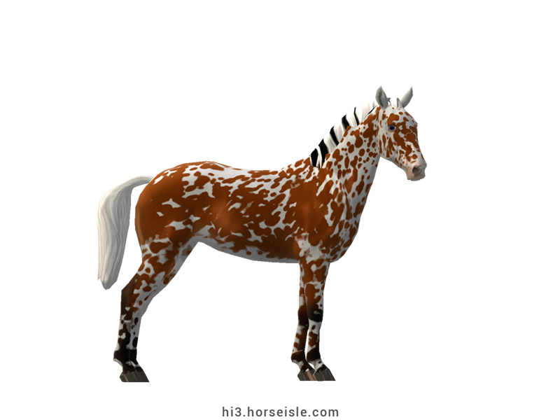 Horse Isle 3: Big Book of Breeds