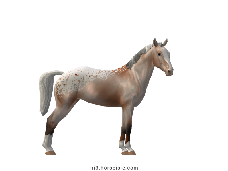 Horse Isle 3: Big Book of Breeds