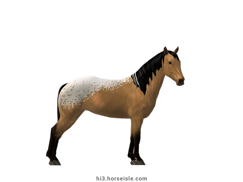 Horse Isle 3: Big Book of Breeds