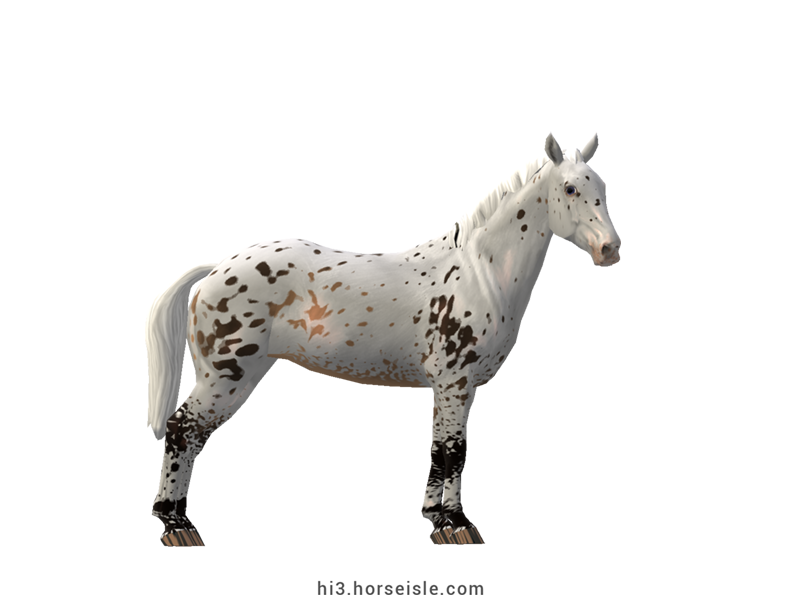 Horse Isle 3: Big Book of Breeds