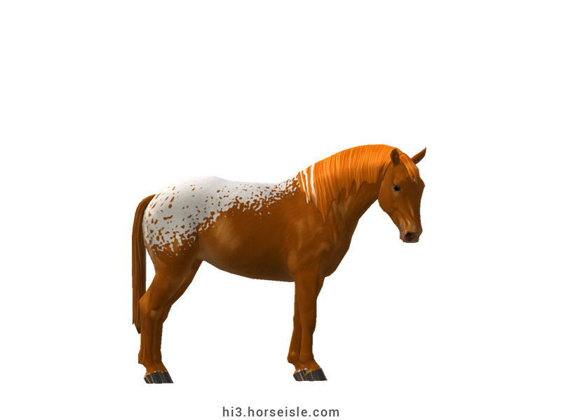 Horse Isle 3: Big Book of Breeds