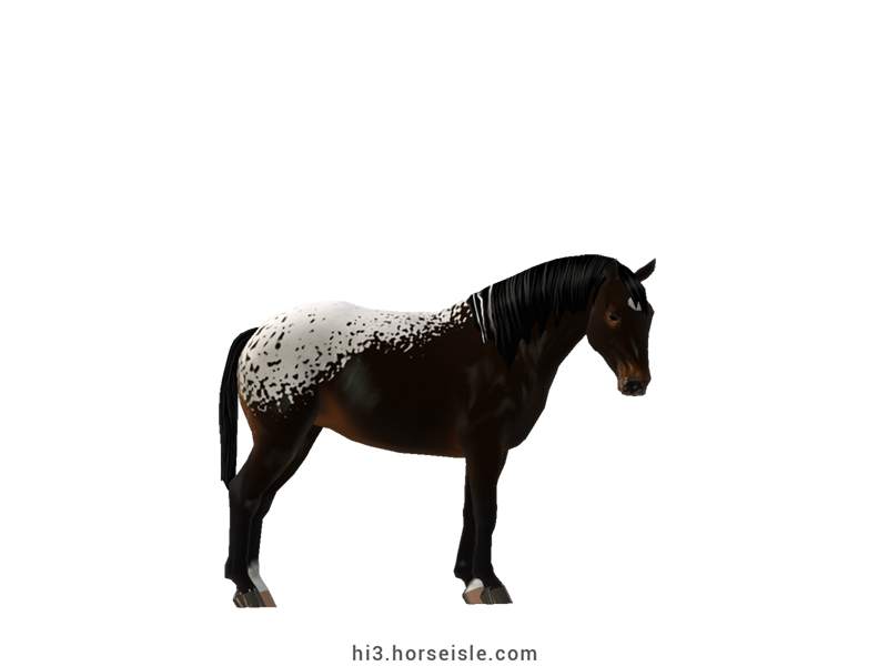 Horse Isle 3: Big Book of Breeds