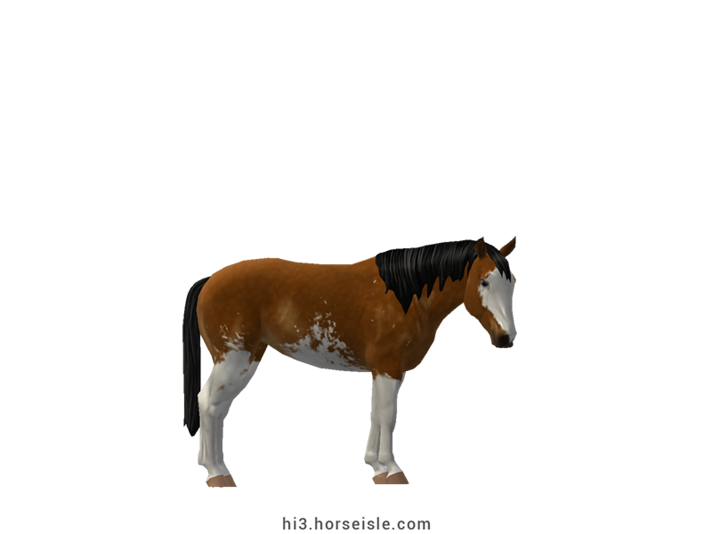 Horse Isle 3: Big Book of Breeds
