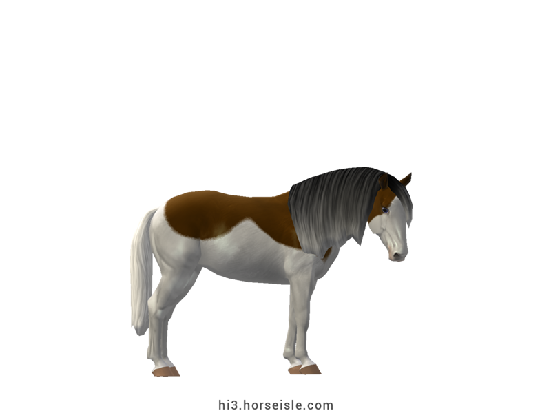 Horse Isle 3: Big Book of Breeds