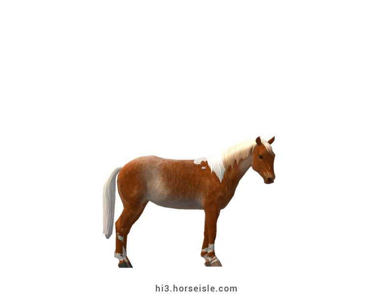 Horse Isle 3: Big Book of Breeds