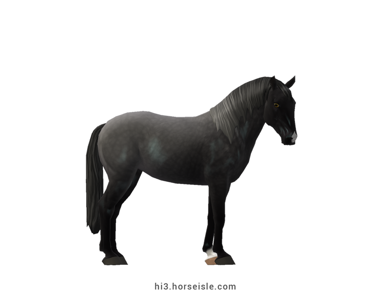 Horse Isle 3: Big Book of Breeds