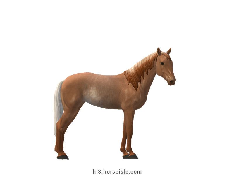 Horse Isle 3: Big Book of Breeds