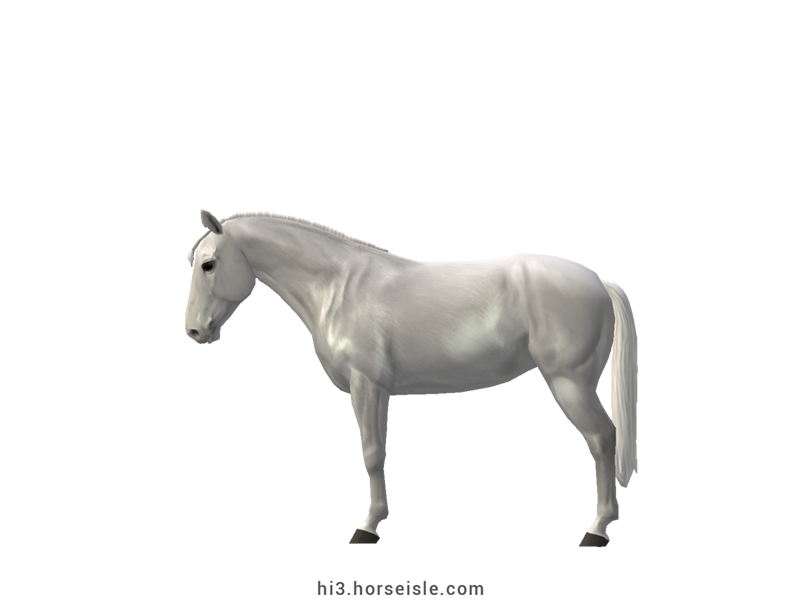 Horse Isle 3: Big Book of Breeds