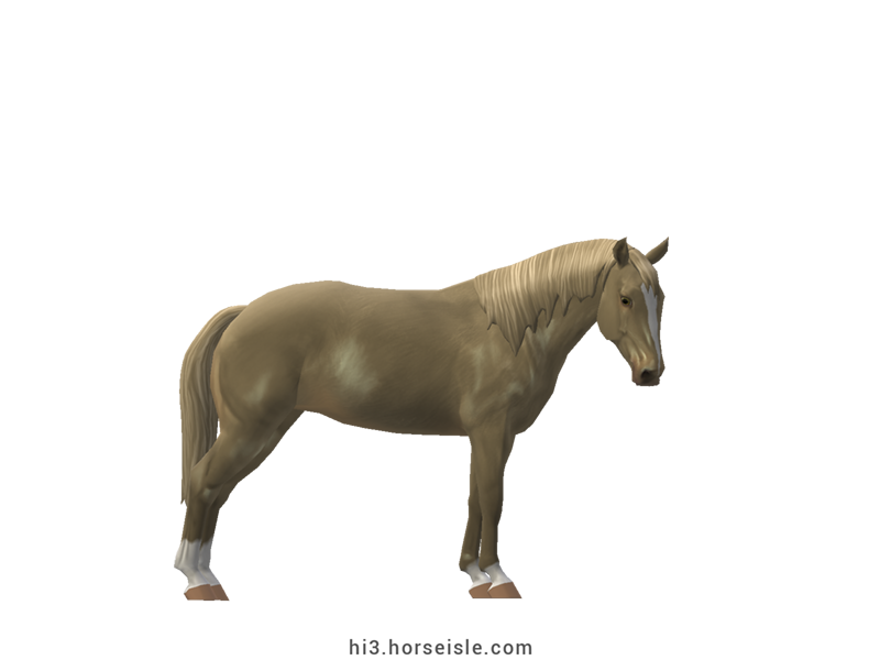 Horse Isle 3: Big Book of Breeds