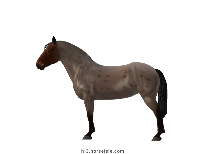 Horse Isle 3: Big Book of Breeds