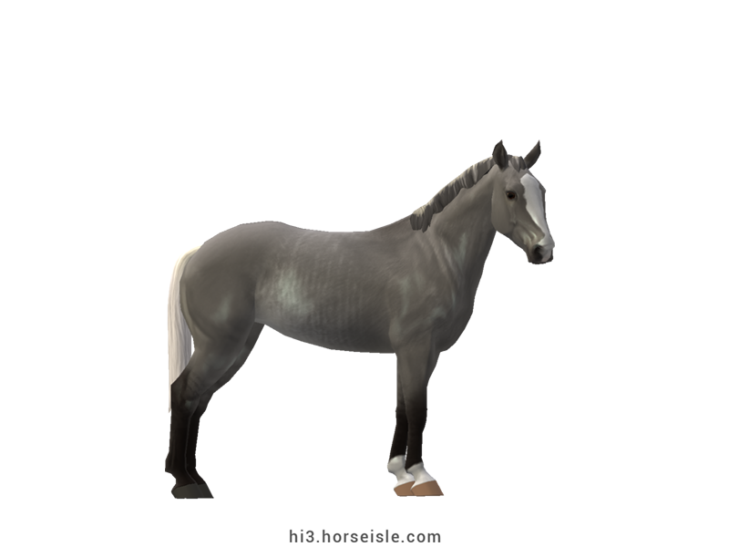 Horse Isle 3: Big Book of Breeds