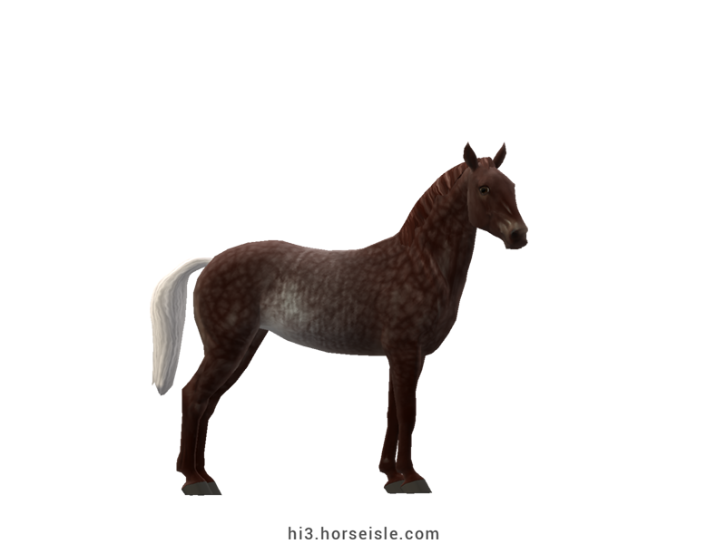 Horse Isle 3: Big Book of Breeds
