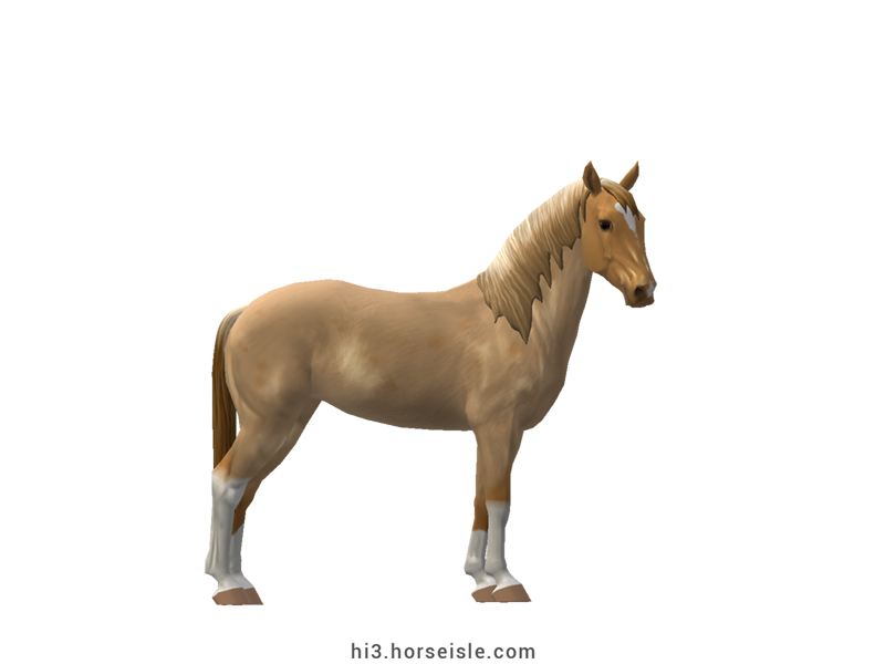 Horse Isle 3: Big Book of Breeds