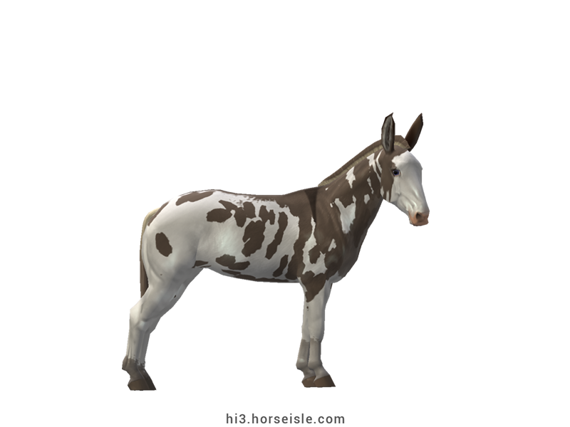 Horse Isle 3: Big Book of Breeds