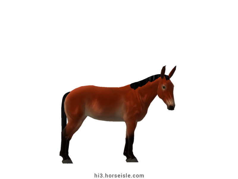 Horse Isle 3: Big Book of Breeds