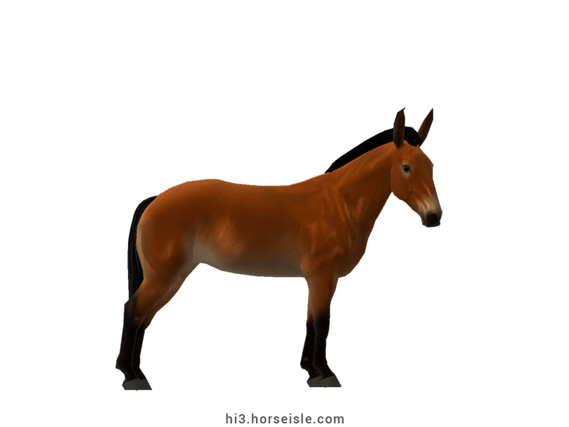 Horse Isle 3: Big Book of Breeds