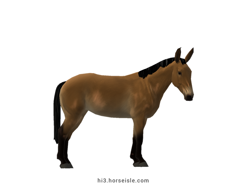 Horse Isle 3: Big Book of Breeds