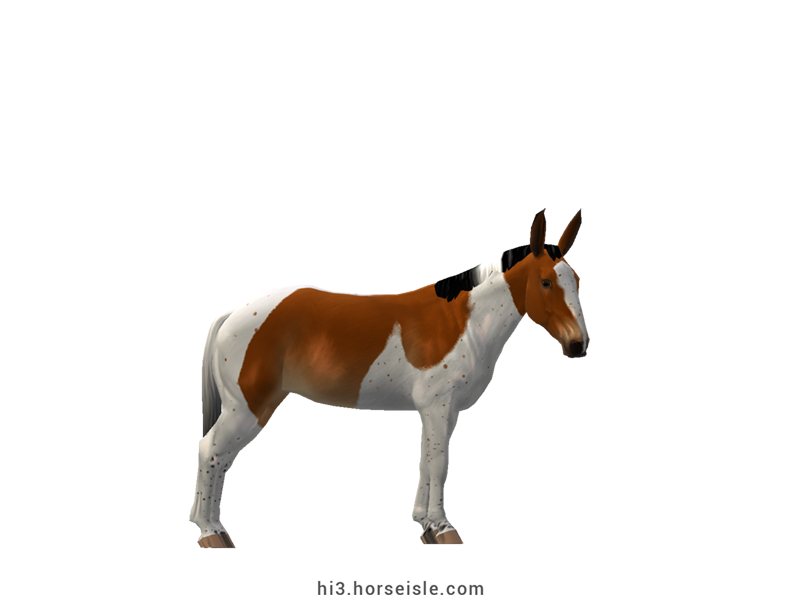 Horse Isle 3: Big Book of Breeds