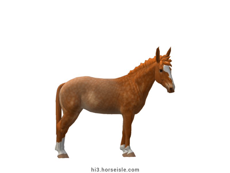 Horse Isle 3: Big Book of Breeds