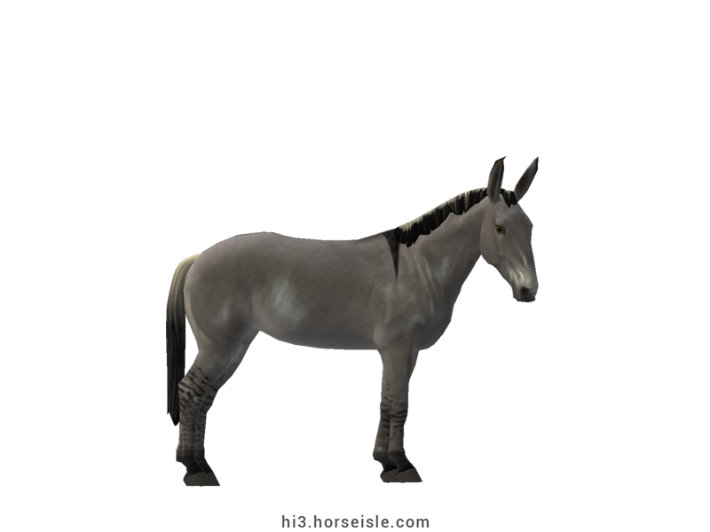 Horse Isle 3: Big Book of Breeds