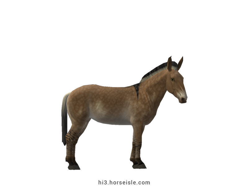 Horse Isle 3: Big Book of Breeds