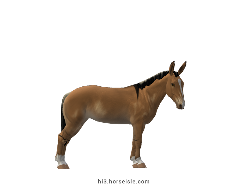 Horse Isle 3: Big Book of Breeds