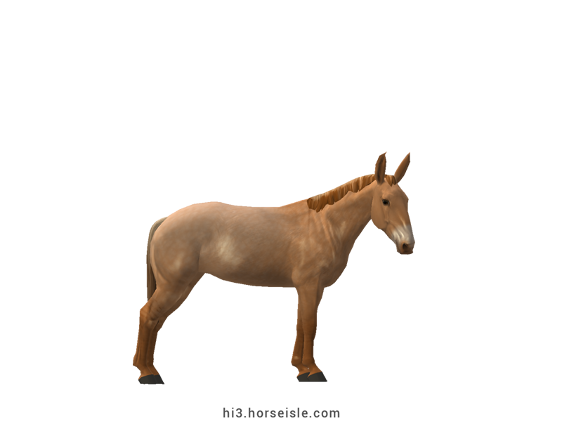 Horse Isle 3: Big Book of Breeds