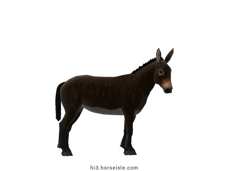 Horse Isle 3: Big Book of Breeds