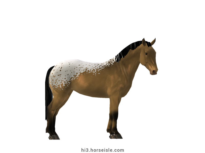 Horse Isle 3: Big Book of Breeds