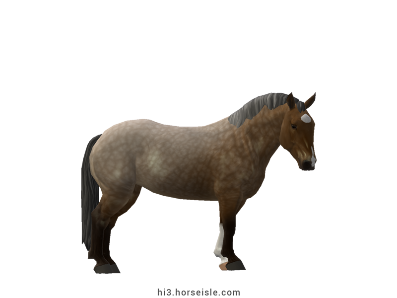 Horse Isle 3: Big Book of Breeds
