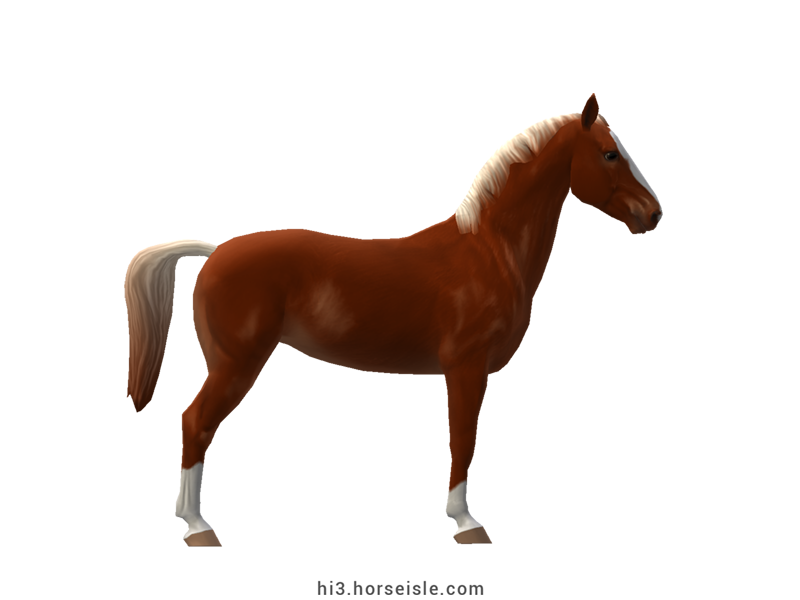 Horse Isle 3: Big Book of Breeds