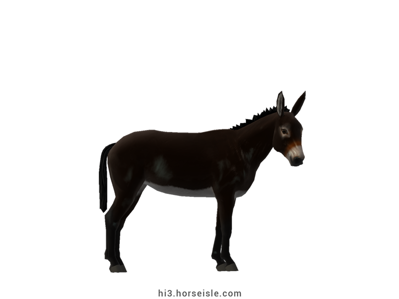 Horse Isle 3: Big Book of Breeds