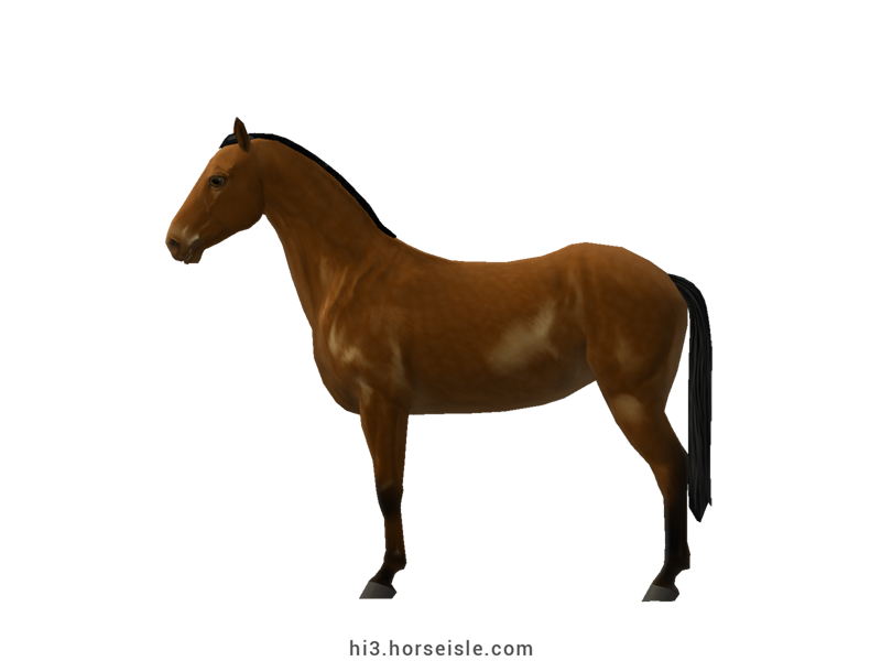 Horse Isle 3: Big Book of Breeds