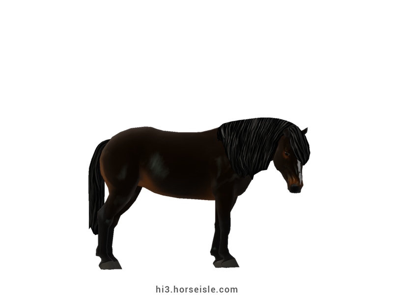 Horse Isle 3: Big Book of Breeds