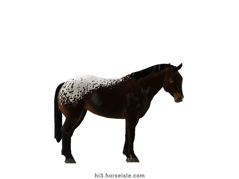 Horse Isle 3: Big Book of Breeds