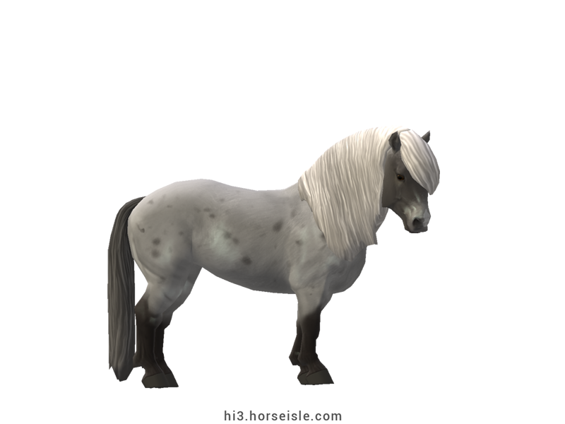 Horse Isle 3: Big Book of Breeds