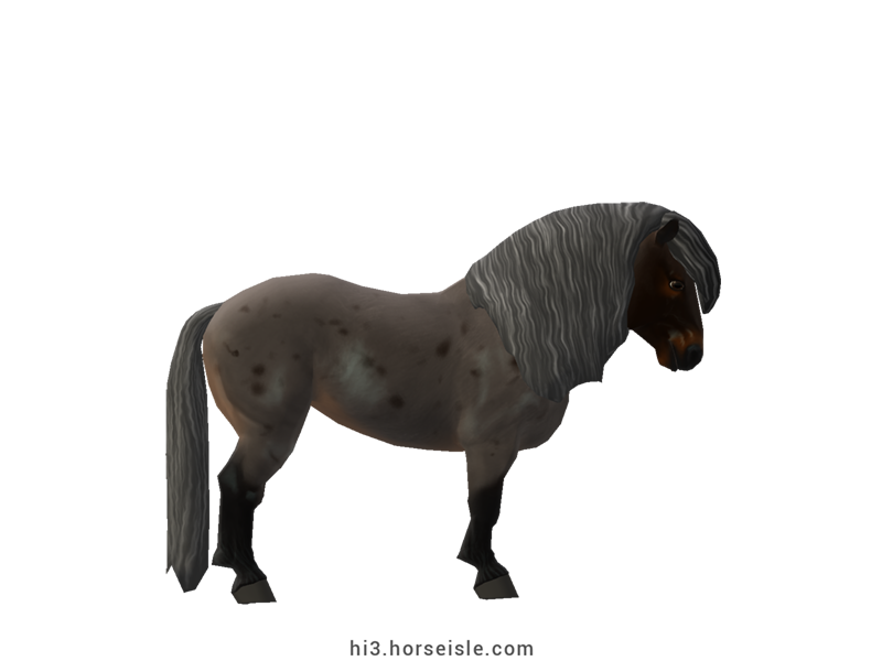 Horse Isle 3: Big Book of Breeds