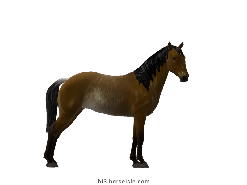 Horse Isle 3: Big Book of Breeds