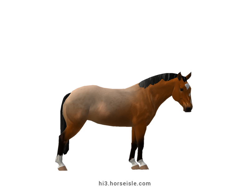 Horse Isle 3: Big Book of Breeds