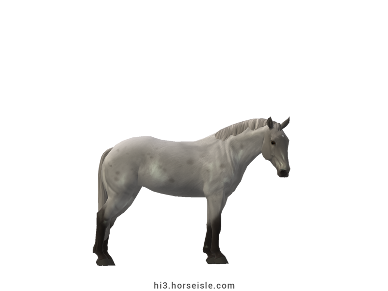 Horse Isle 3: Big Book of Breeds