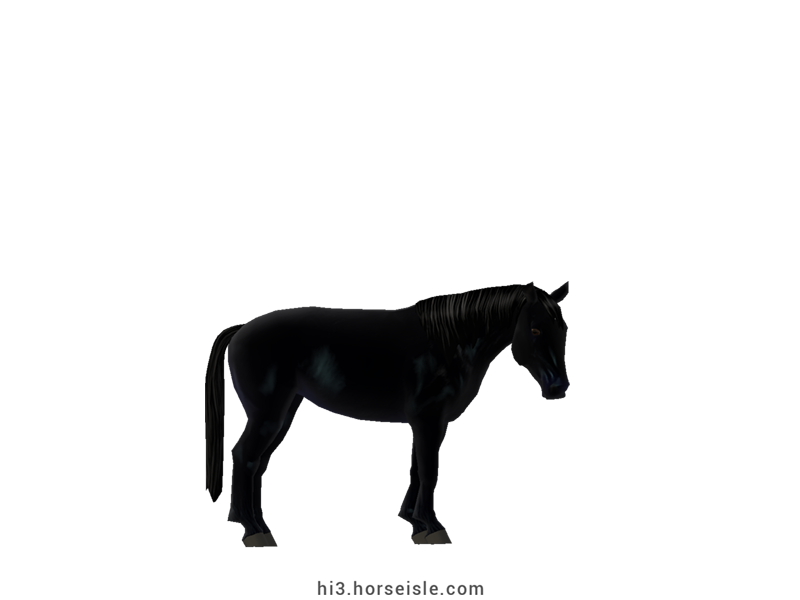 Horse Isle 3: Big Book of Breeds