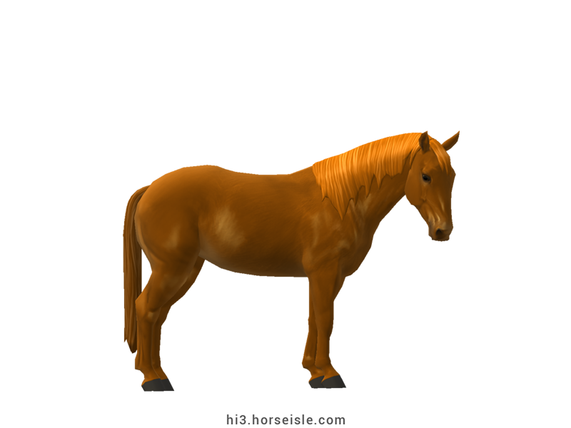 Horse Isle 3: Big Book of Breeds