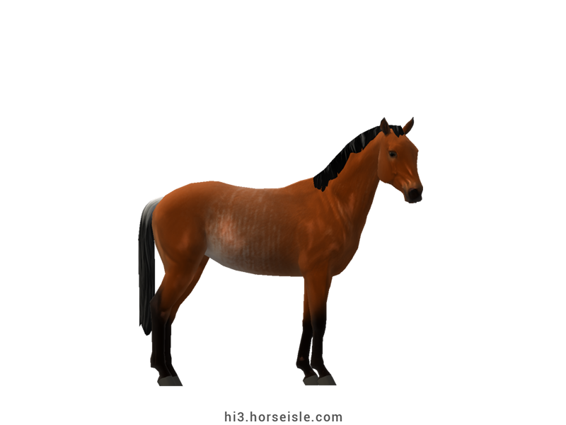 Horse Isle 3: Big Book of Breeds