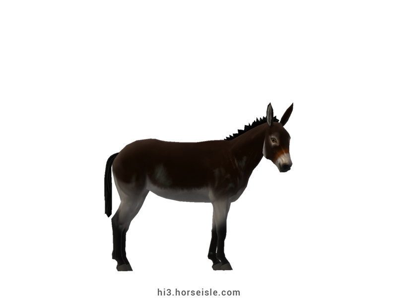 Horse Isle 3: Big Book of Breeds