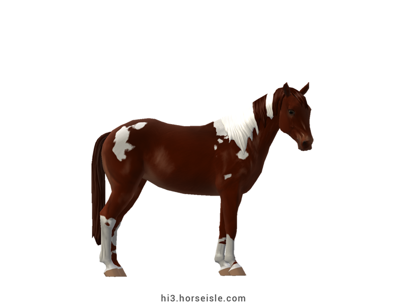 Horse Isle 3: Big Book of Breeds