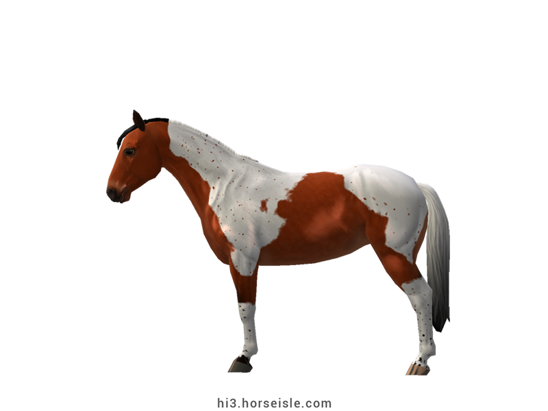 Horse Isle 3: Big Book of Breeds