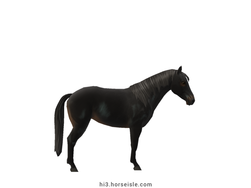 Horse Isle 3: Big Book of Breeds