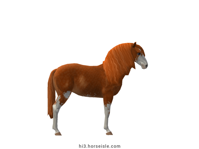 Horse Isle 3: Big Book of Breeds