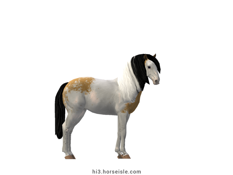 Horse Isle 3: Big Book of Breeds