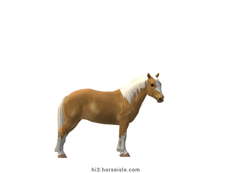 Horse Isle 3: Big Book of Breeds